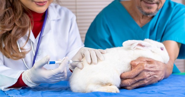 Daily Chat USA | YouGov Chat - What The World Thinks